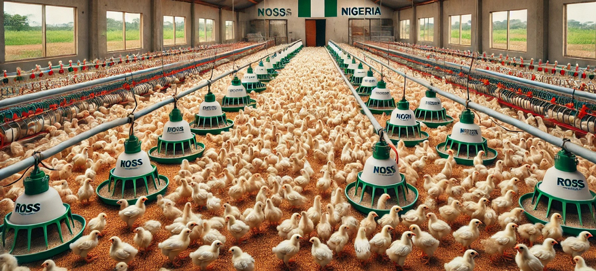 PART THREE: Undergraduate Final Year Project | by Boluwatife Victoria A ...