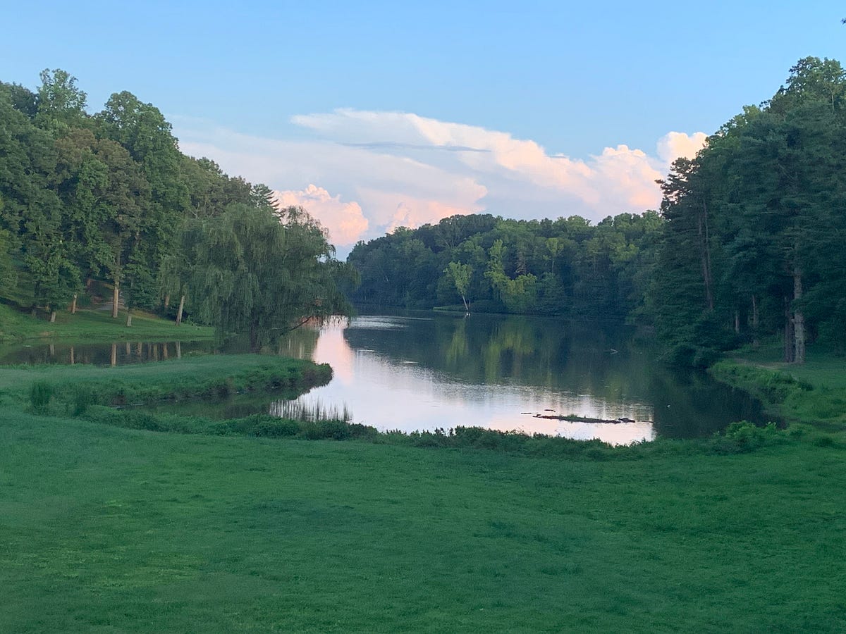 If you Create a Lake, They Will Come | by Rives S Brown | Medium