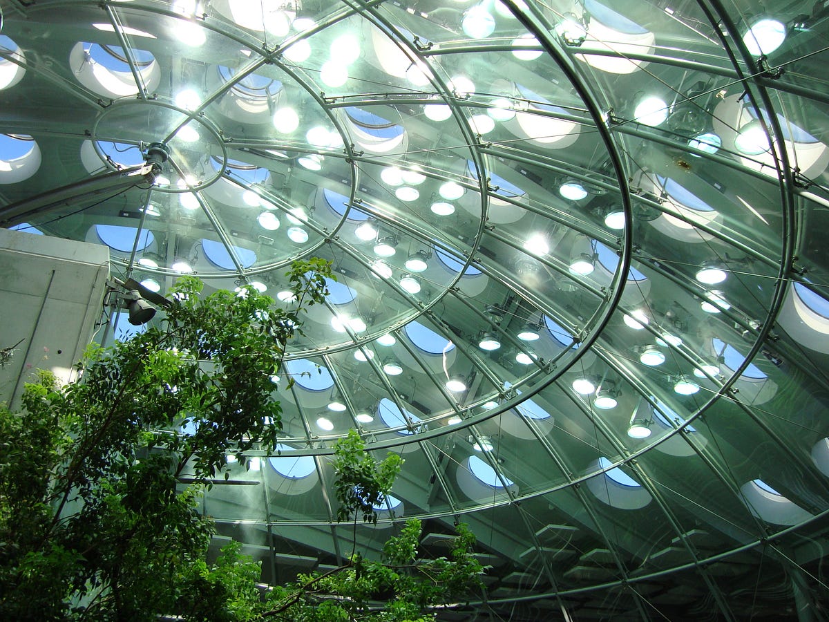 Bio-Domes: a Reflection of Our Future Kings & Queens | by Eldwin | Medium