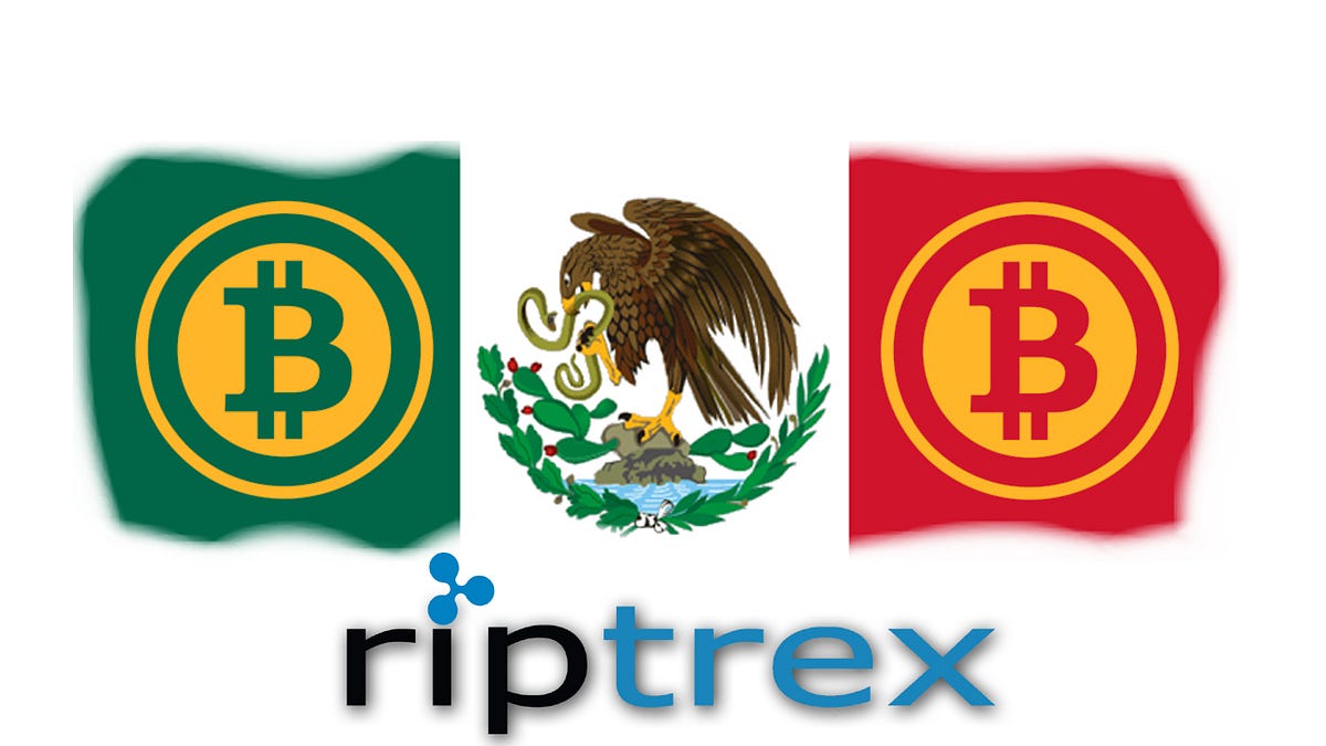 Mexico’s Cryptocurrency Regulation Awaits Presidential Signature | by ...