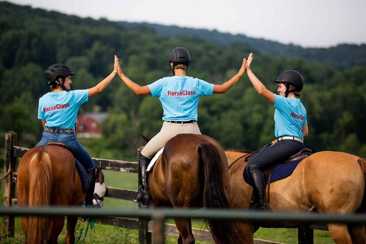 What is Horse Class and What do they offer? | by Chris S | Medium