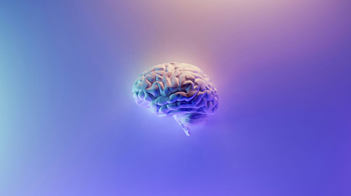 A Complete Walkthrough of My Second Brain | by Maisha Adil | Medium
