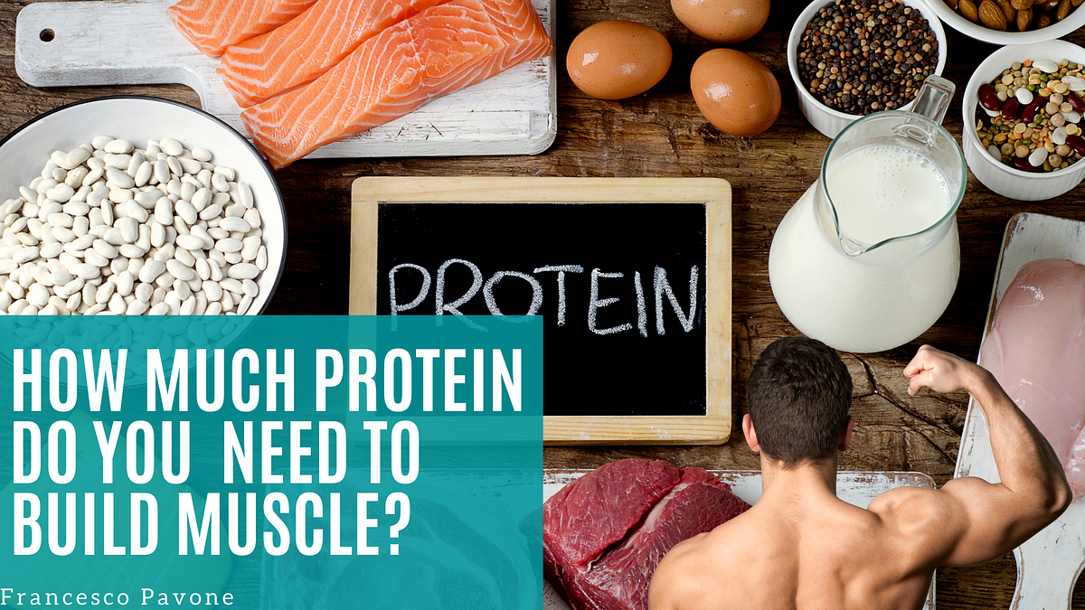 How much protein do you need to build muscle? | by Francesco Pavone ...