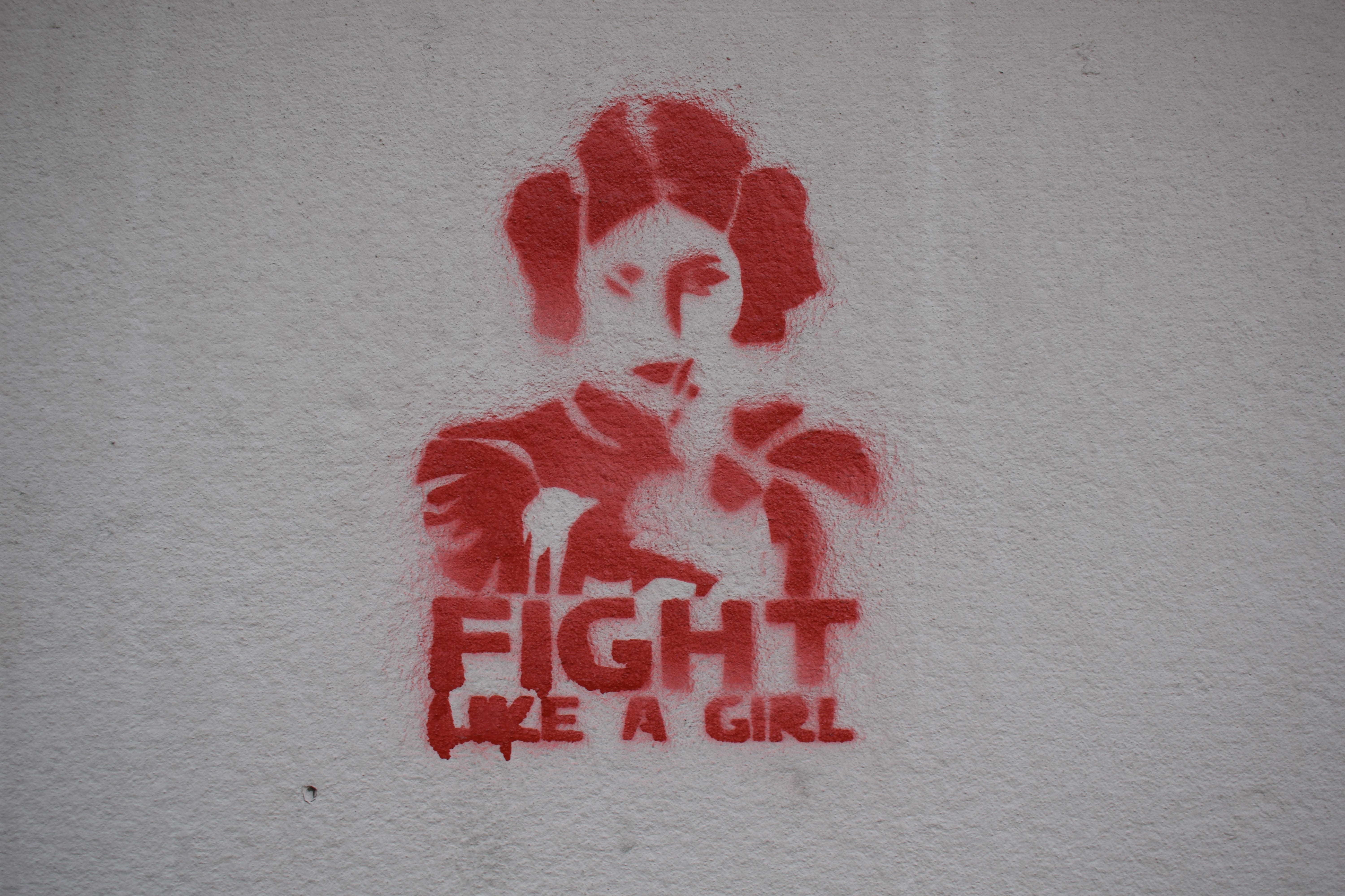 Princess Leia Stencil