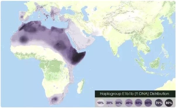 Afroasiatic Languages The Origin Of The Afroasiatic Languages And