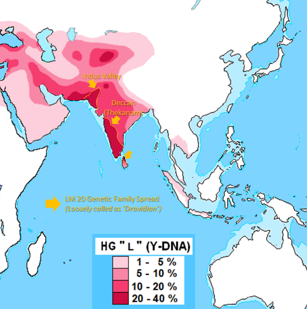 Where Did Dravidian People Originate From