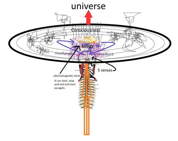 How The Universe Is Connected To Our Awareness