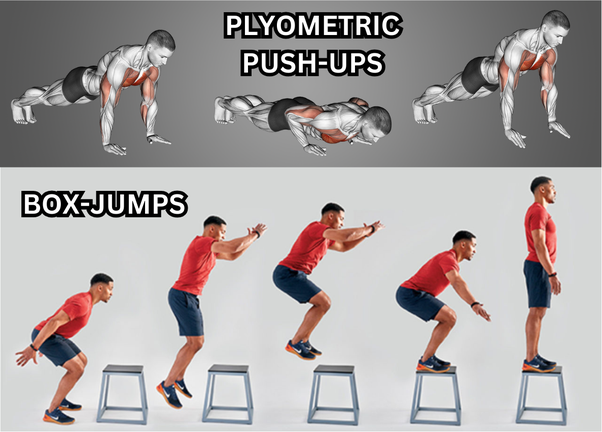 Vertical Jump Workout
