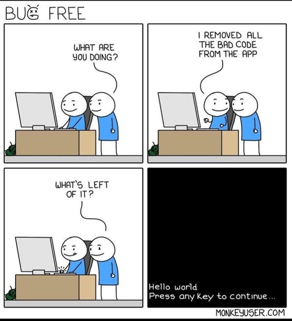 Software Bug Funny