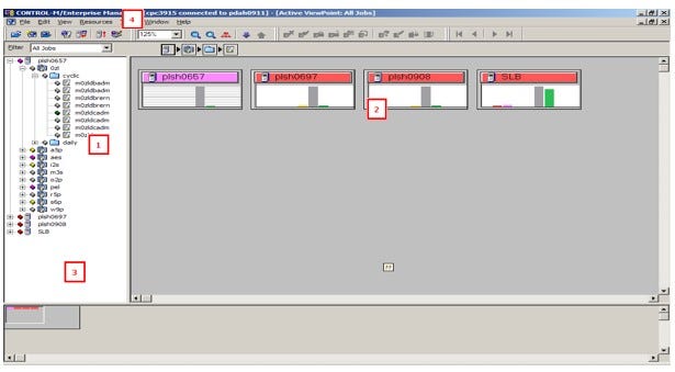 Bmc Software Control M