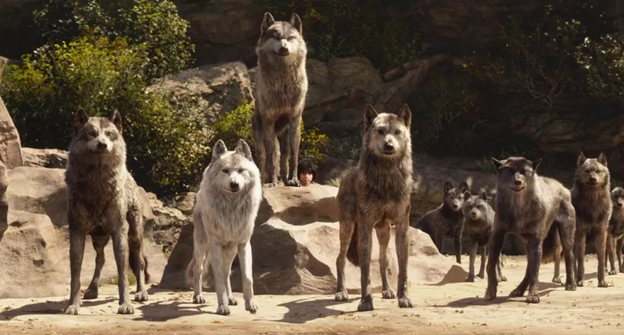 Jungle Book Wolves