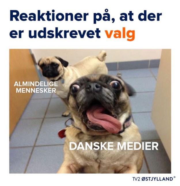 Dansker Memes