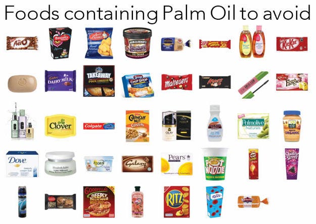 Palm Oil Products To Avoid