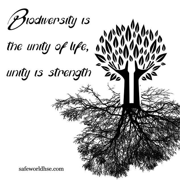 Save Biodiversity Posters