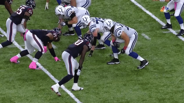 Vince Wilfork Interception Gif