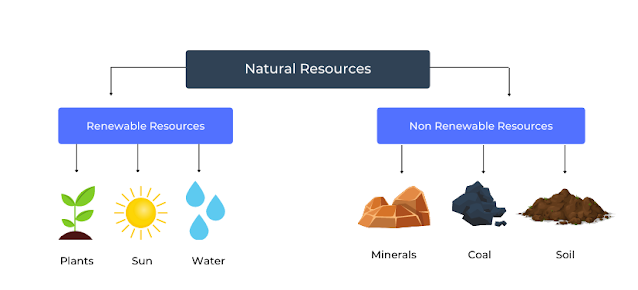 Renewable Resources Examples