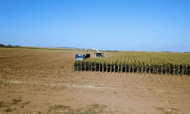 Agriculture Gif