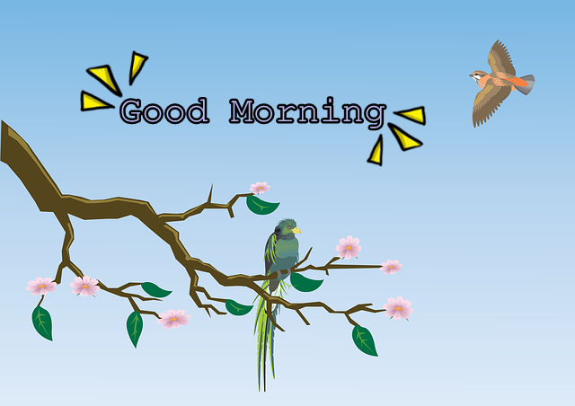 Good Morning Images With Birds