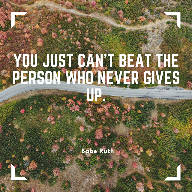 David Schickler Quotes