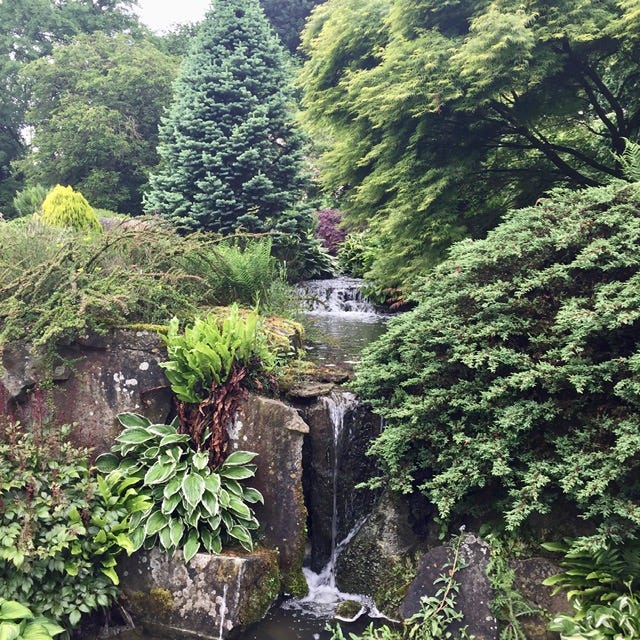 Fragrance Garden Designs Of Examples British Academy Of Garden Design