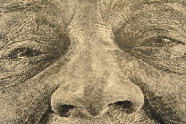 Fanny Chuck Close