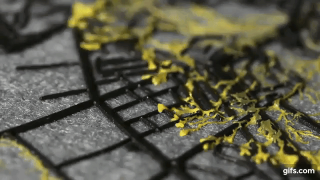 Slime Mold Maze Gif