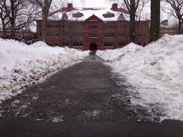 Red Brick Dorm Buildings At Harvard University In Winter