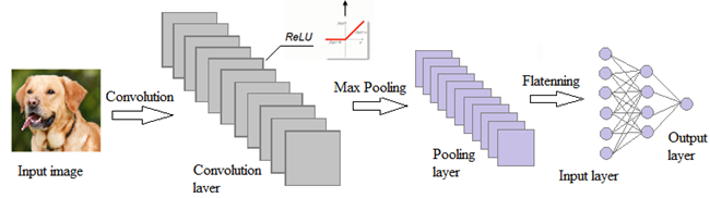 Cats Vs Dogs Image Classification Using, 43% OFF