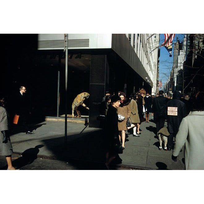 Joel Meyerowitz On The Street