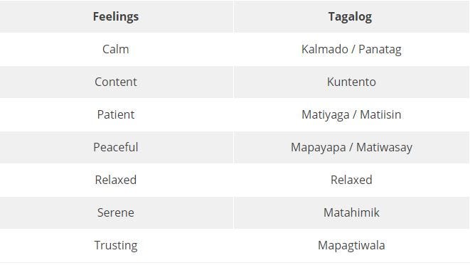 Moods And Emotions In Tagalog: 100 Easy Words By Ling Learn, 55% OFF