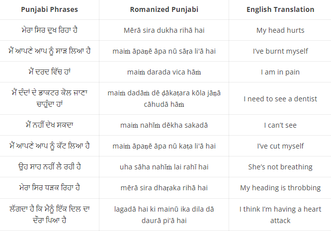 Punjabi Language Translator