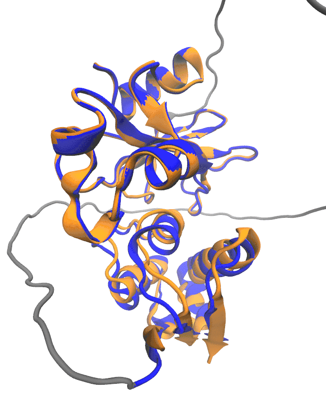 Protein Structure Gif