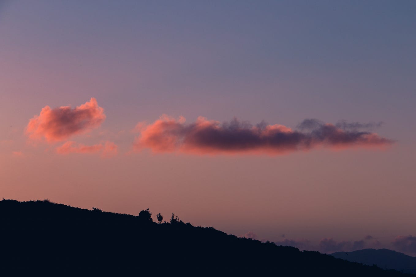 Code Point Net From Scratch In Pytorch Medium