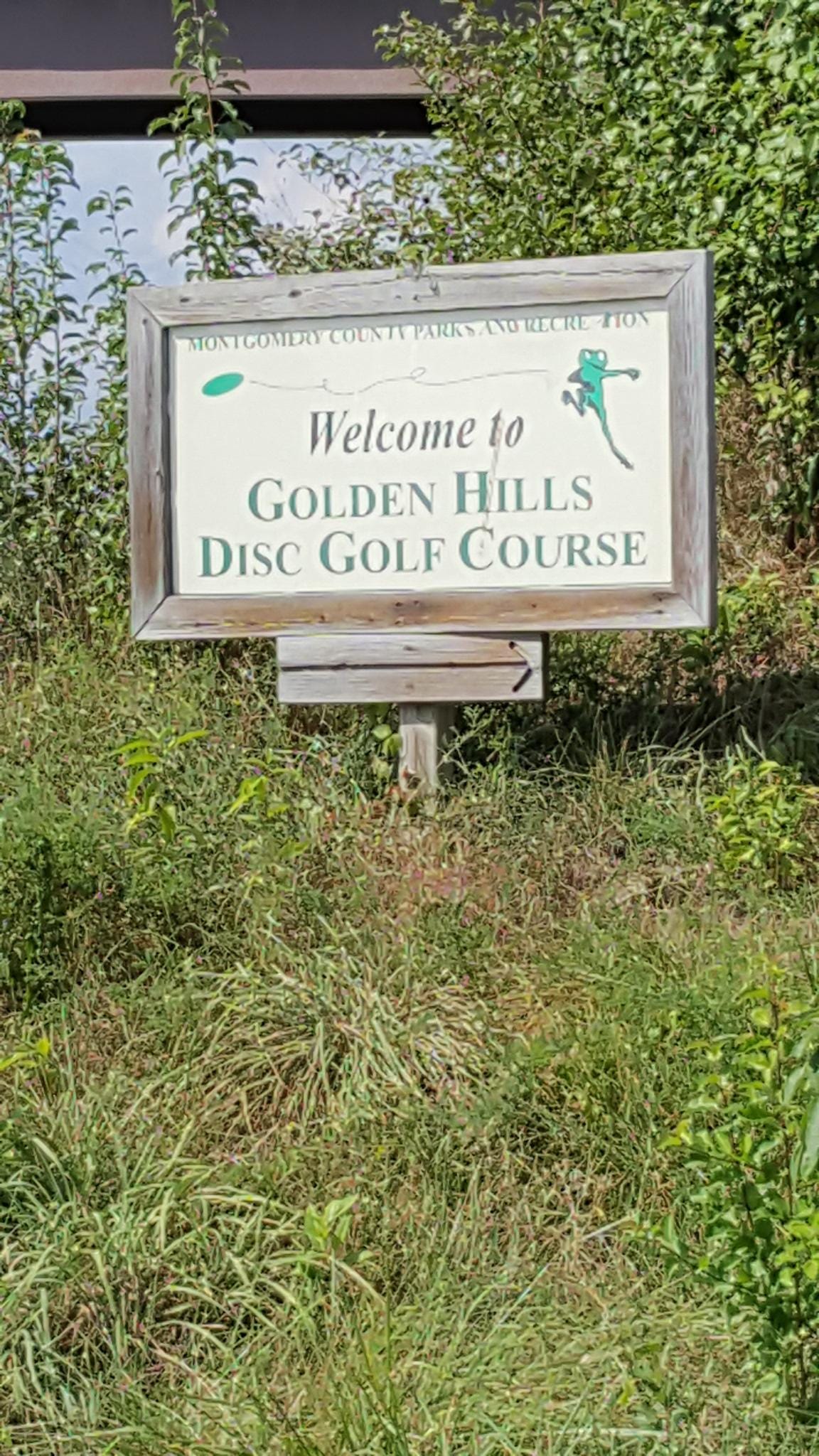 The Five Senses of Disc Golf. Disc golf is a sensory sport. A round ...