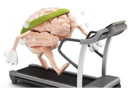 How Exercise Affects Your Brain | by Health Fitness Everyday | Oct ...