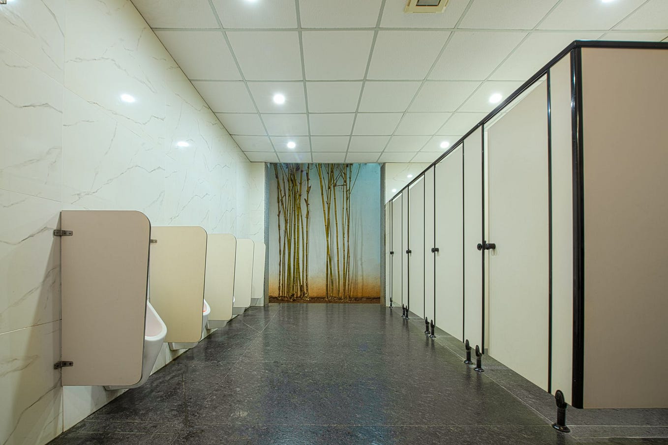 Elevate Your Bathroom Design with Glass Shower and Urinal Partitions ...