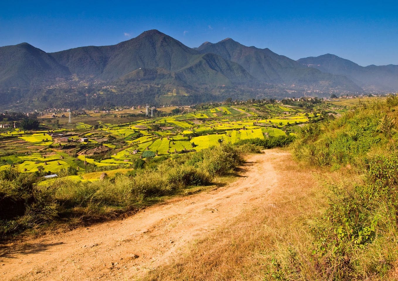 Demystifying Workwear: How Safety Body Protection Redefines Industry Standards | by Estelle ...