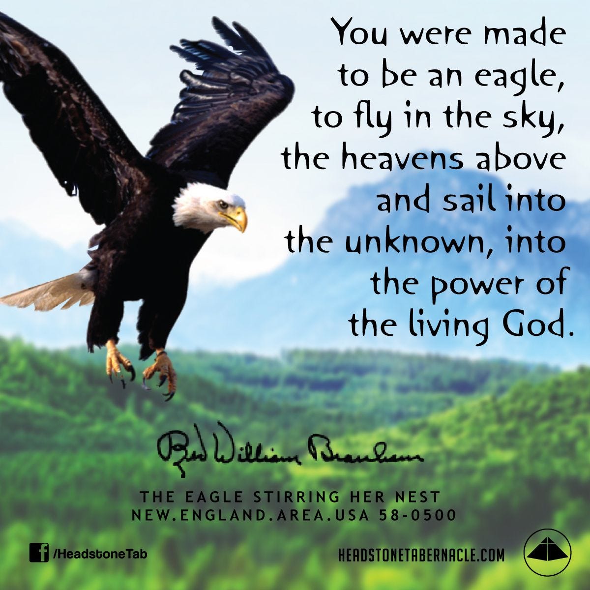 The Assembly of God. Lord Jesus, keep your little ones from… | by Mrs Diane Mary Markey | Apr ...