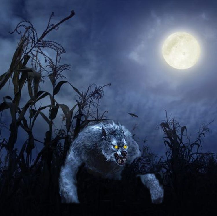 What Are Reverse Vampires?. Reverse Vampires, sometimes called Sol ...
