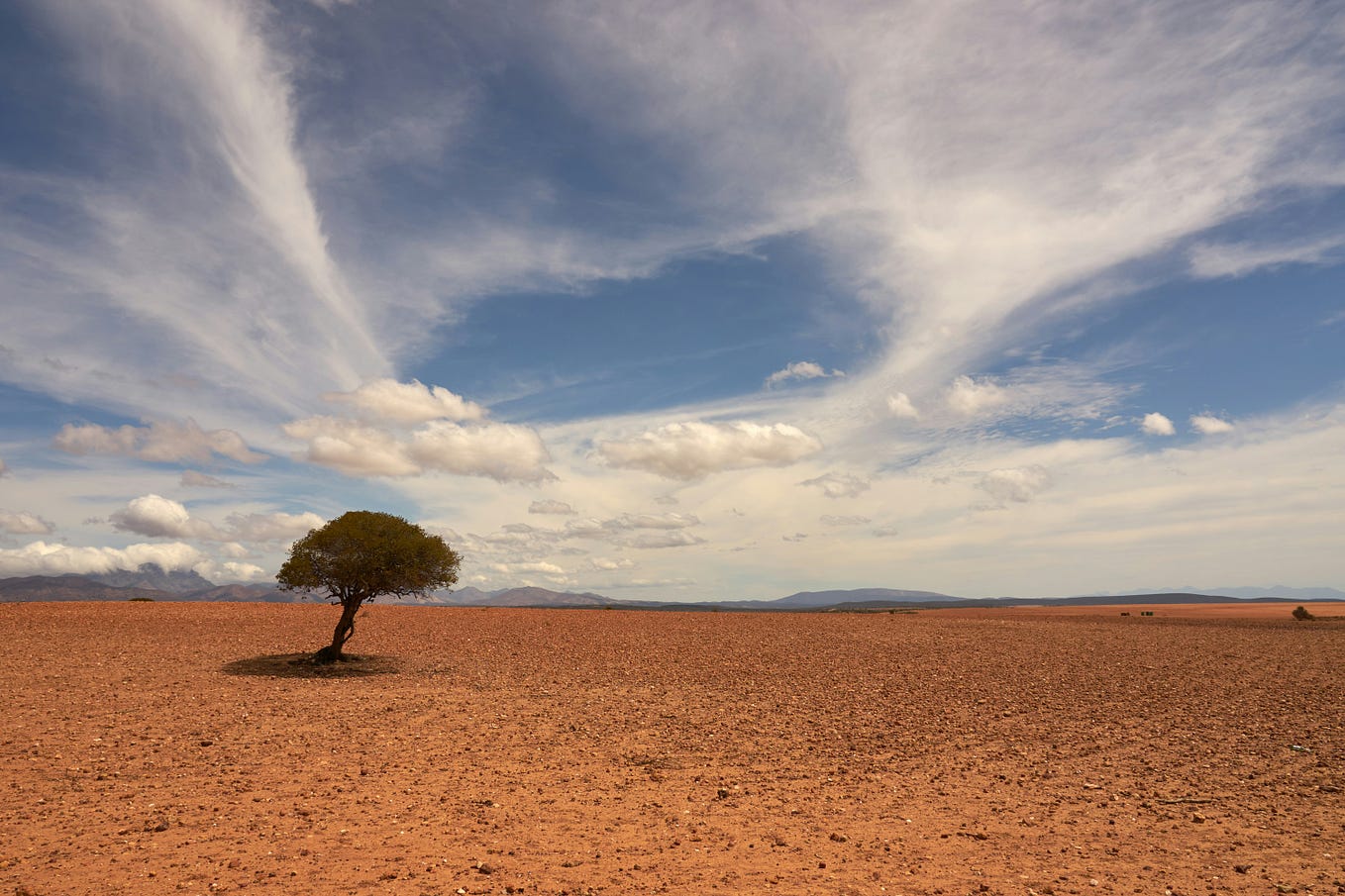 Your Weaknesses Are Your Strengths. Embrace Them. | by umair haque ...