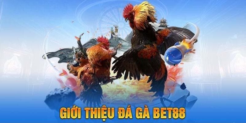Đăng Nhập Bet88: Hướng Dẫn Chi Tiết Cho Người Mới | by bet88ing | Jun, 2024 | Medium