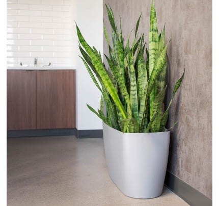 A DIY Guide to Selecting the Right Size Planter | by Pacific Silkscapes ...