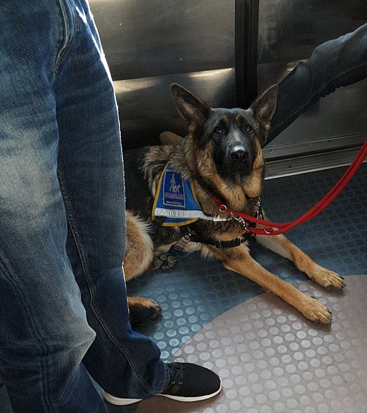 Chernobyl AZ-5 Button. When we examine the AZ-5 shutdown… | by Mehmet ...