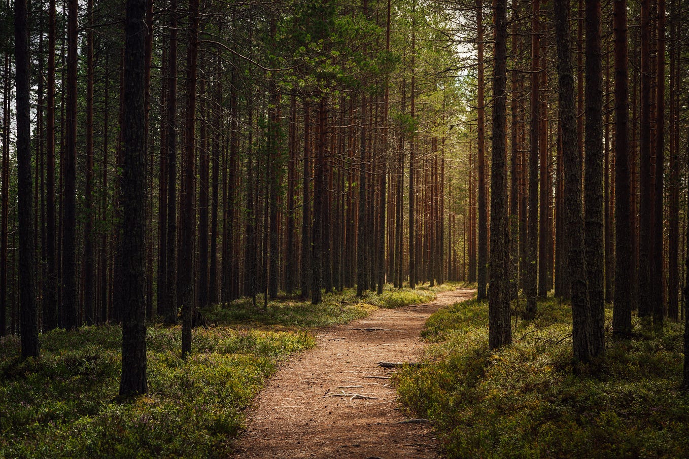 How To Handle Dynamic And Async Components In React Javascript In Plain