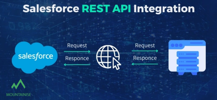 What is Salesforce CRM and Why Your Business Needs It | by Mountainise | Jul, 2024 | Medium