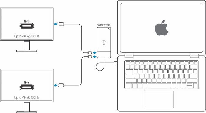 HP vs Lenovo Laptops: Which One Reigns Supreme? | by Lilly Pritchard | Medium