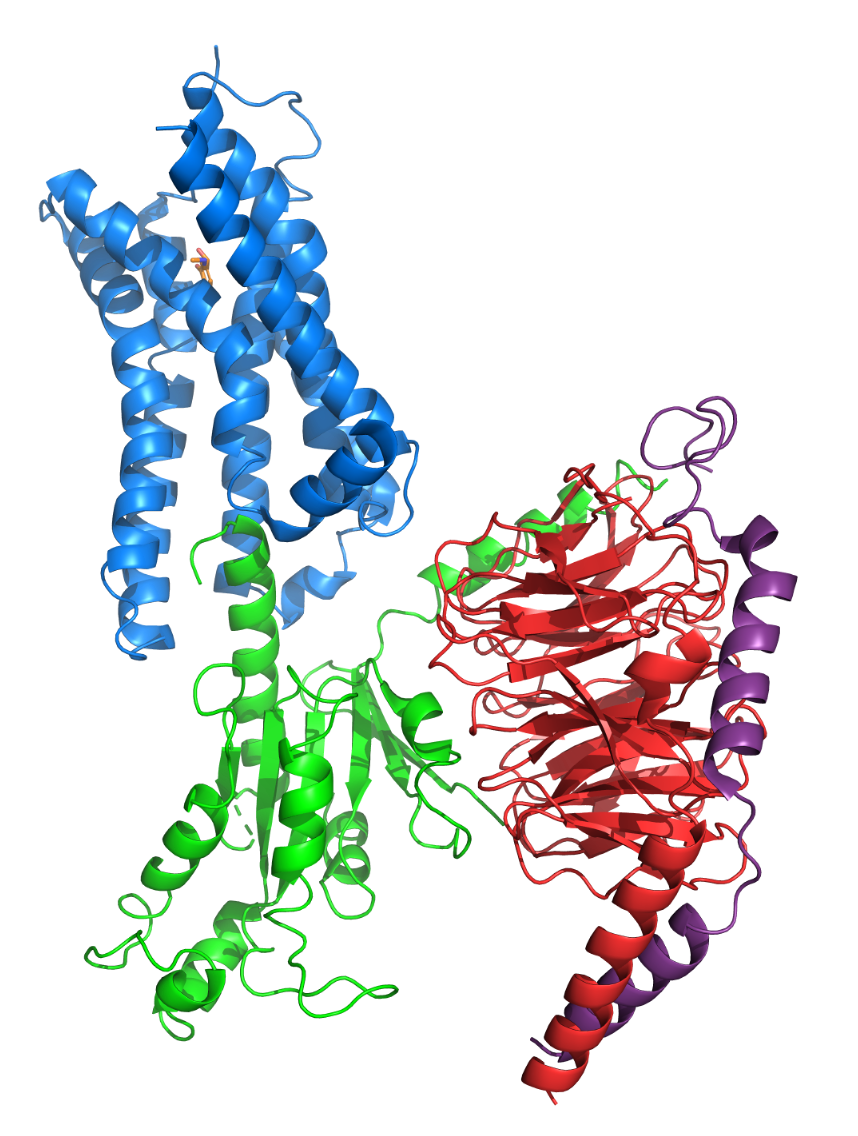 Structural insights for targeted protein degradation | by SBGrid ...