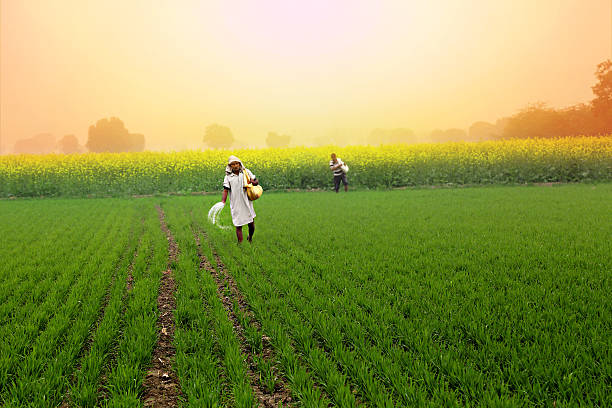 Embracing the Future: Latest Innovations in Agriculture | by Shriram ...