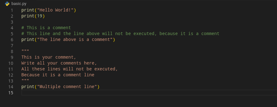 Python, The Easiest Way to Earn Money From Remote Work | by Saif Kholid ...