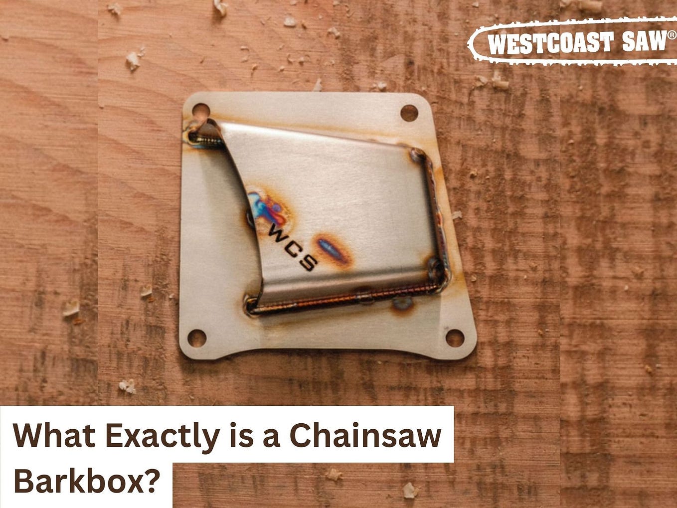 WHAT ARE THE COMPONENTS OF A CHAINSAW CHAIN REFERRED TO AS? | by ...